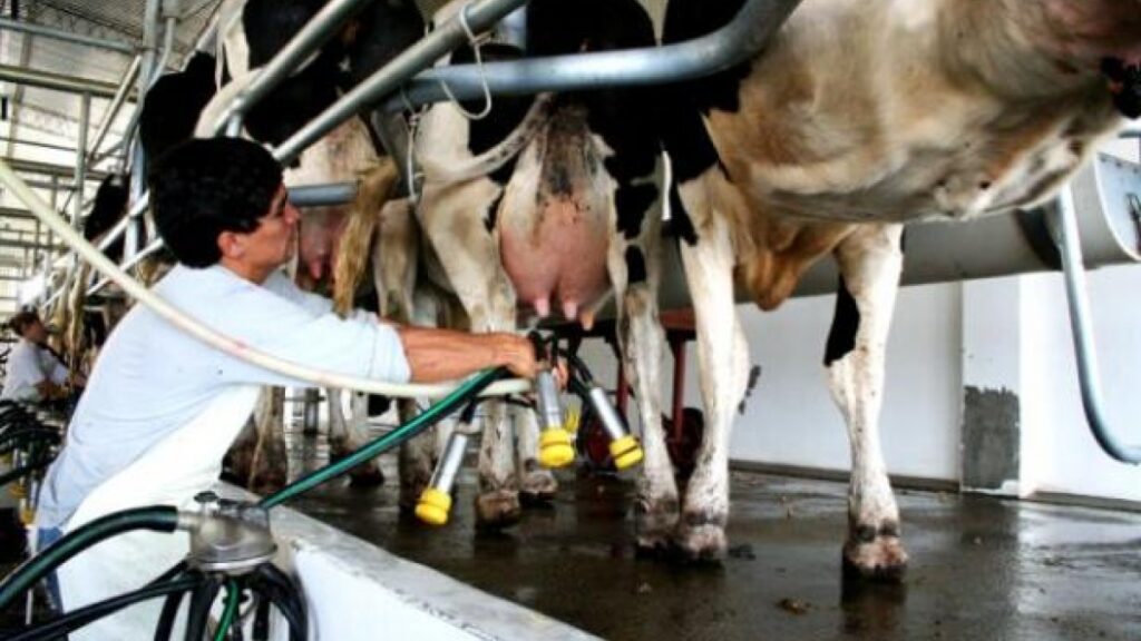 Colombia podría exportar leche y productos lácteos a Uruguay ...