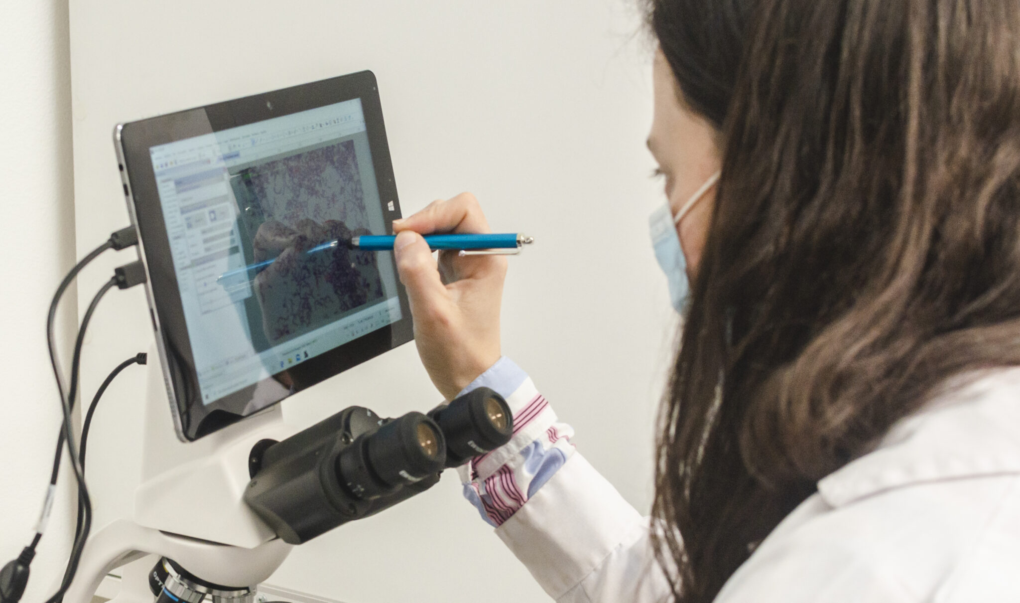 Una biotech argentina invierte más de $ 150 millones en innovaciones para el agro – Sembrando ...